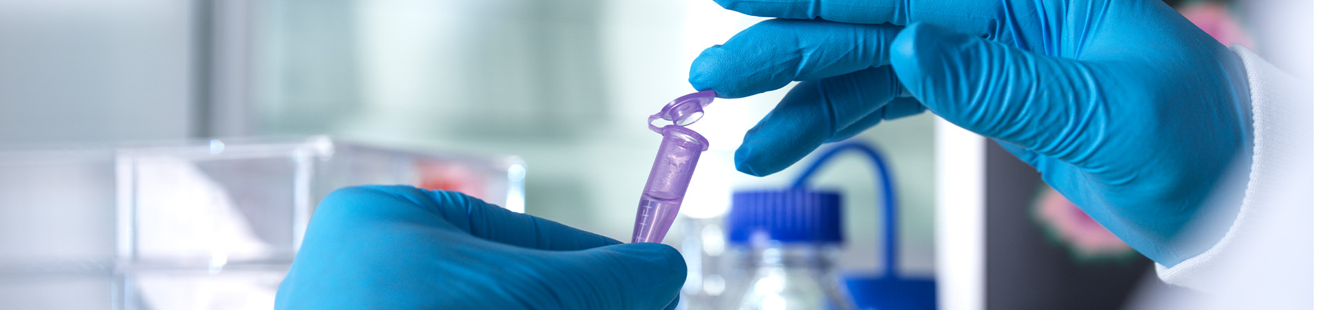 Mauritius aims to position itself as a Medical and Pharmaceutical hub ...